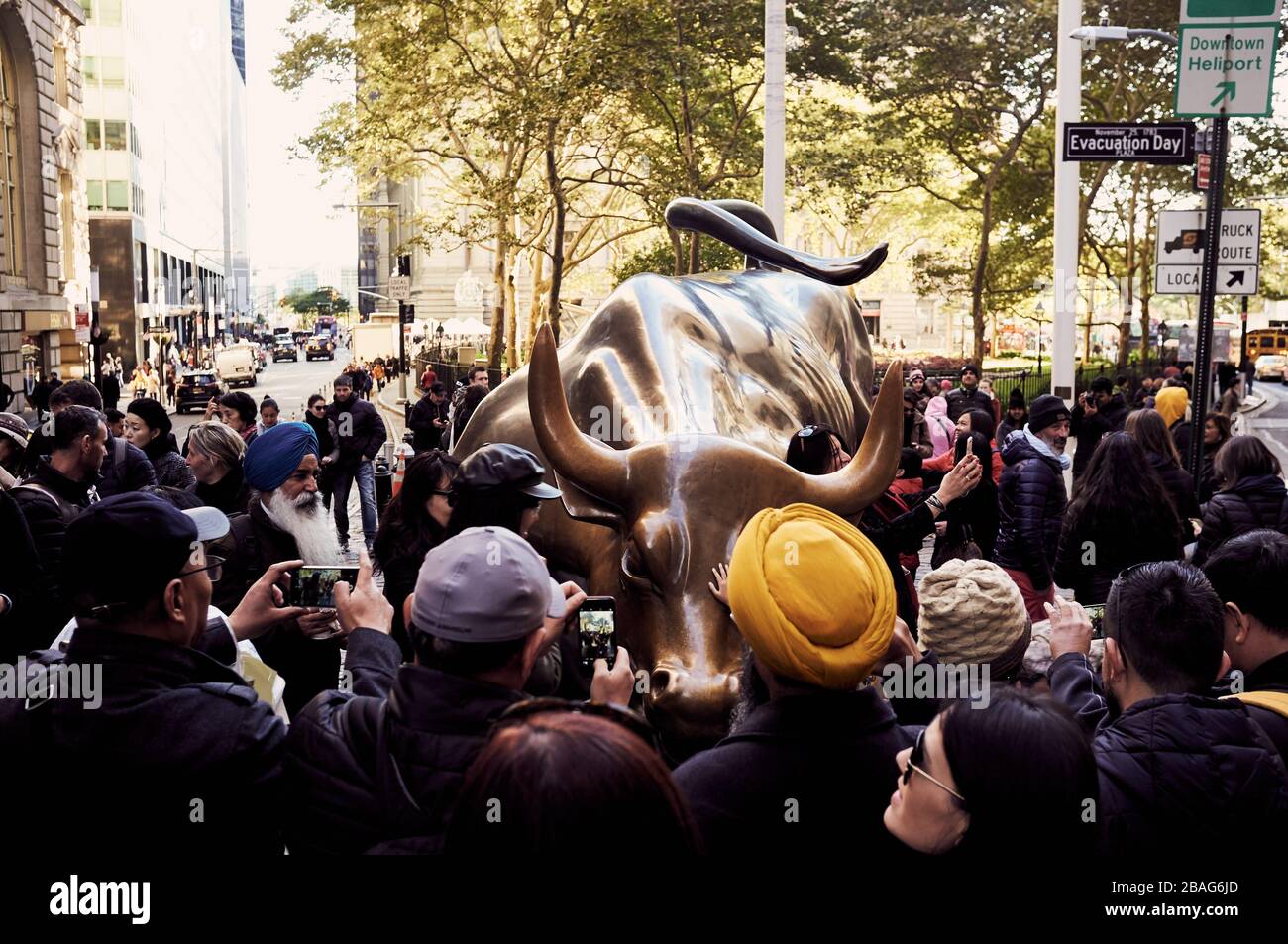 New york ny ny stier -Fotos und -Bildmaterial in hoher Auflösung – Alamy