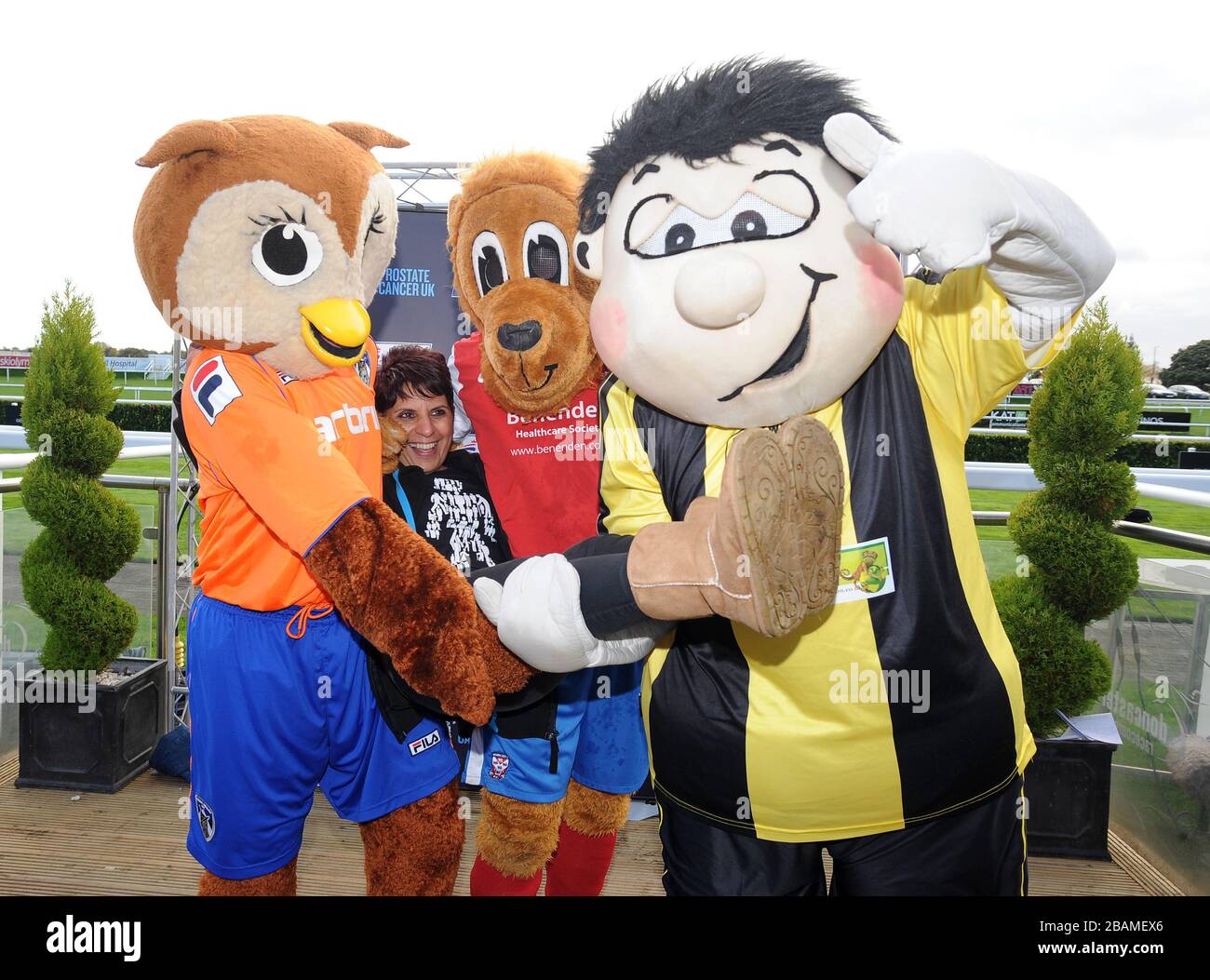 Oldham athletic mascot chaddy the owl -Fotos und -Bildmaterial in hoher ...