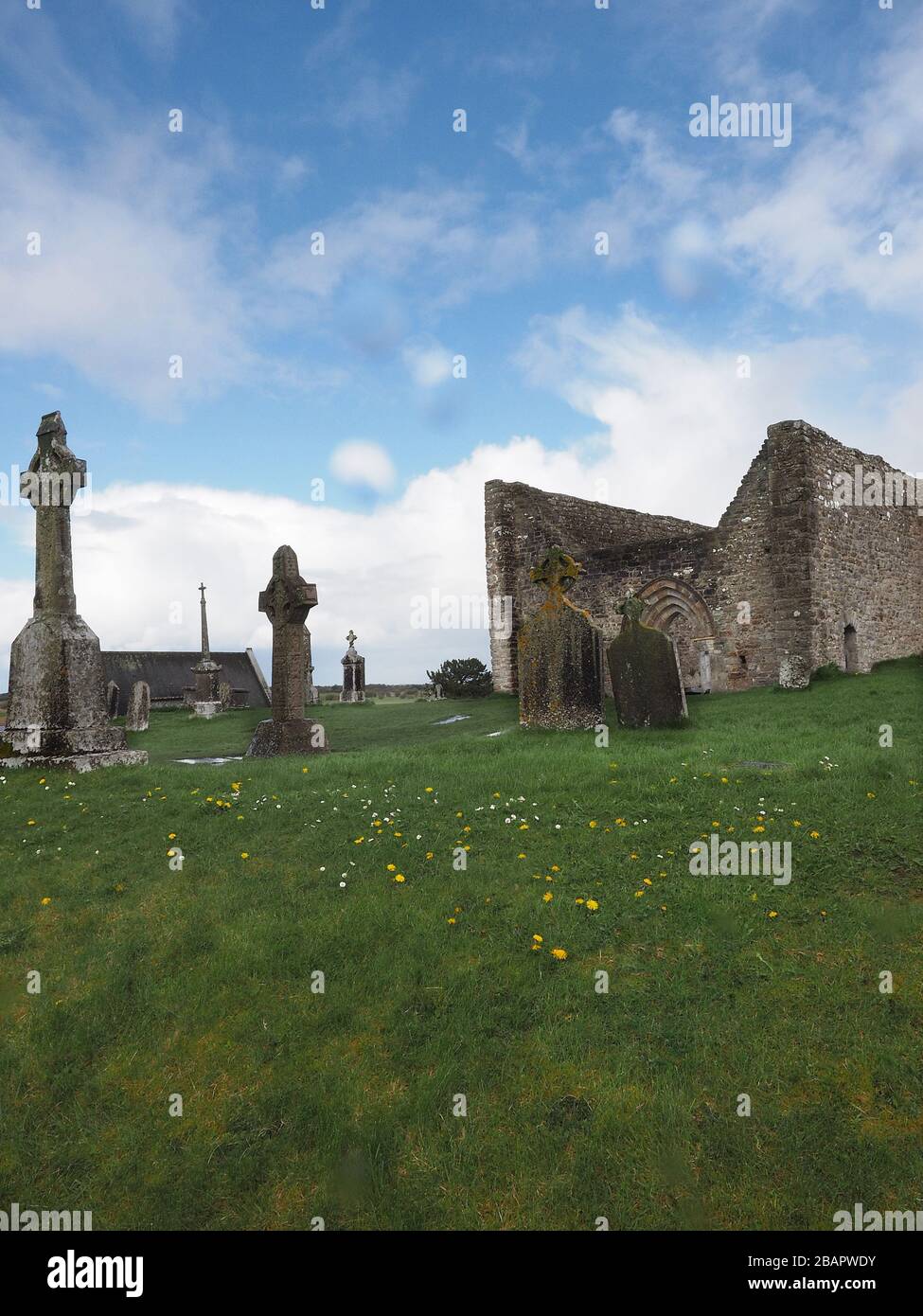 Clonmacnoise cross of the scriptures -Fotos und -Bildmaterial in hoher Auflösung – Alamy