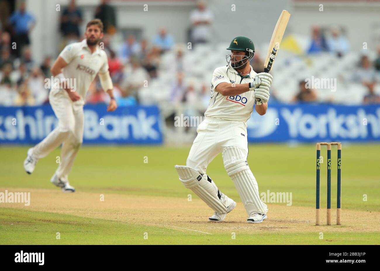 Andre adams -Fotos und -Bildmaterial in hoher Auflösung – Alamy