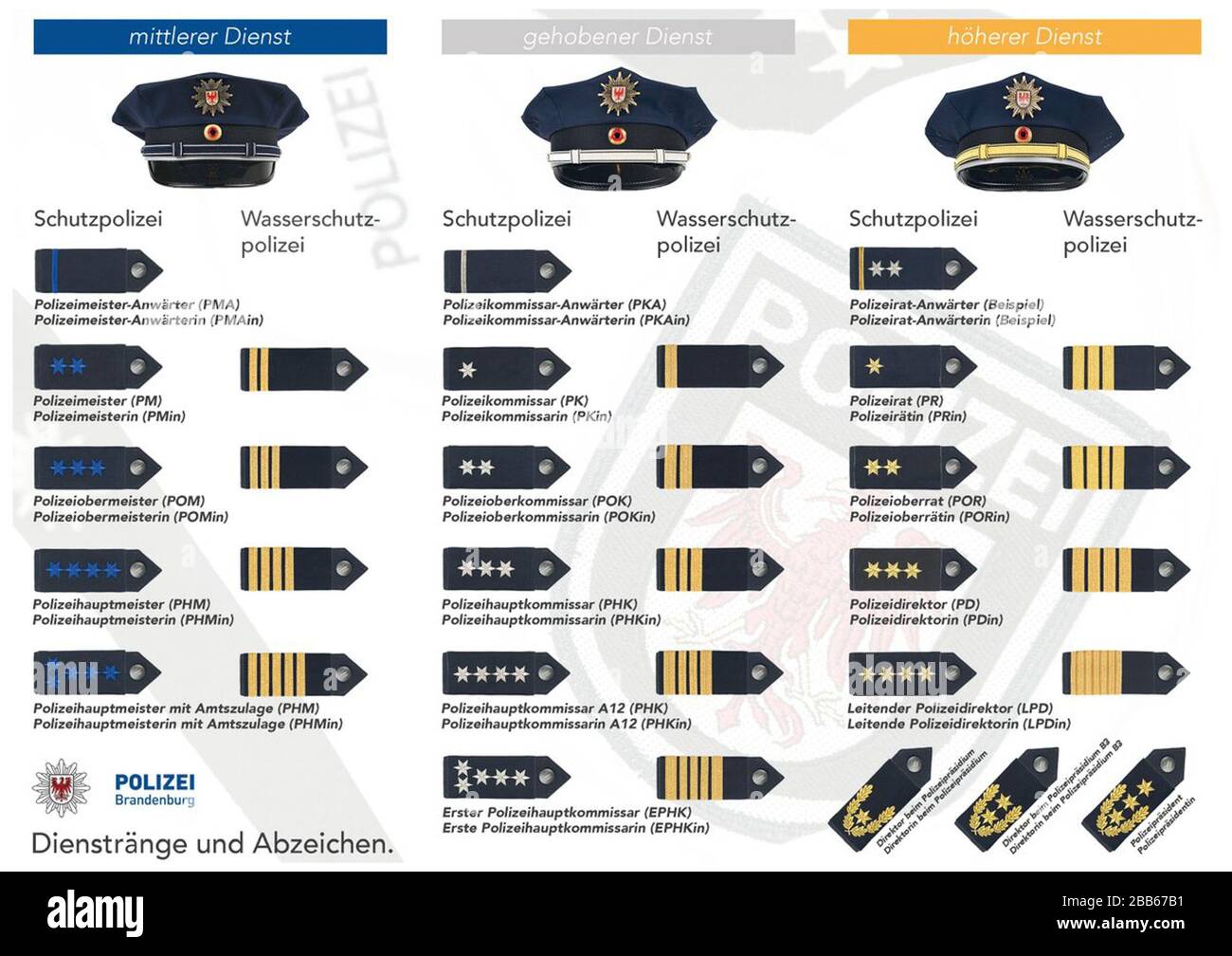 Rank insignia -Fotos und -Bildmaterial in hoher Auflösung – Alamy
