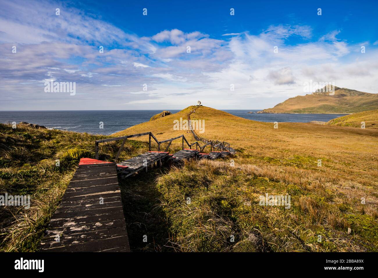 Kap hoorn -Fotos und -Bildmaterial in hoher Auflösung – Alamy