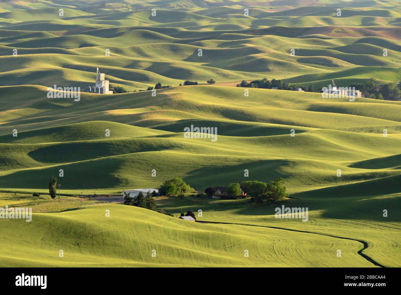 Palouse ackerland -Fotos und -Bildmaterial in hoher Auflösung – Alamy