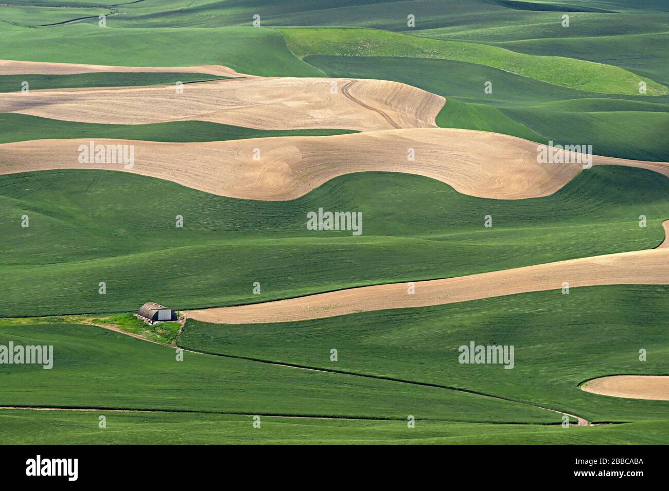 Palouse prairie -Fotos und -Bildmaterial in hoher Auflösung – Alamy