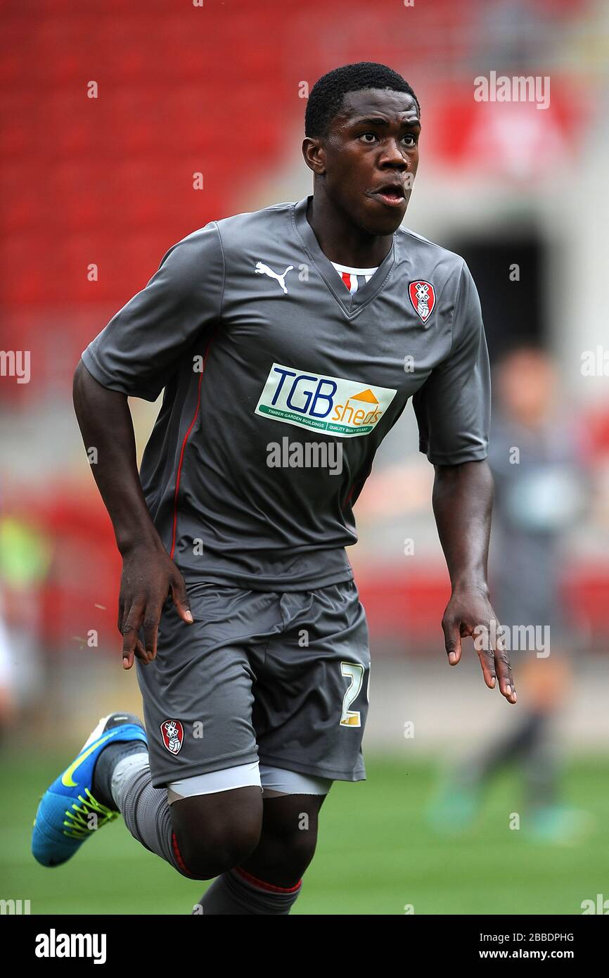 Mitchell rose -Fotos und -Bildmaterial in hoher Auflösung – Alamy