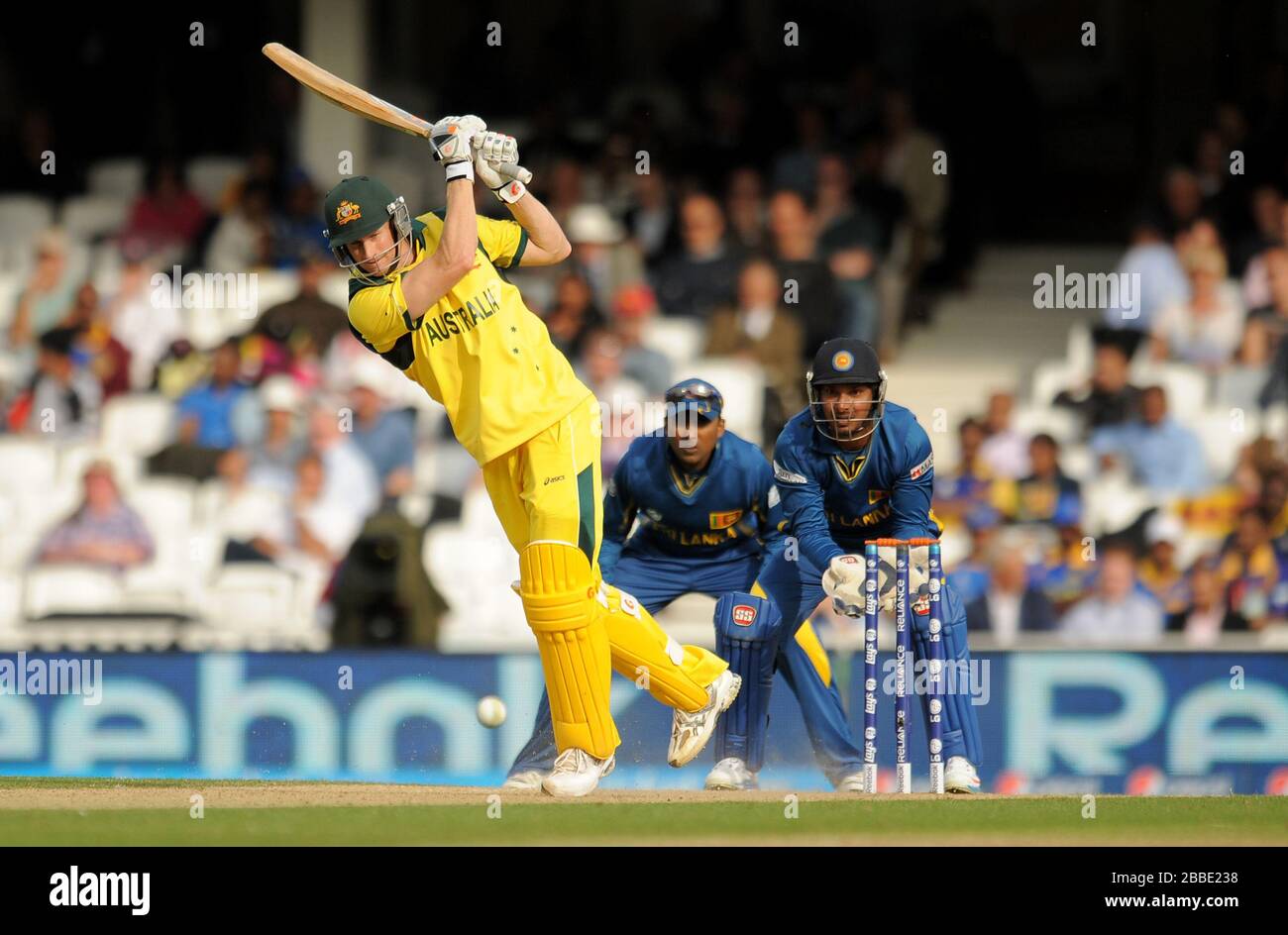 Adam voges -Fotos und -Bildmaterial in hoher Auflösung – Alamy