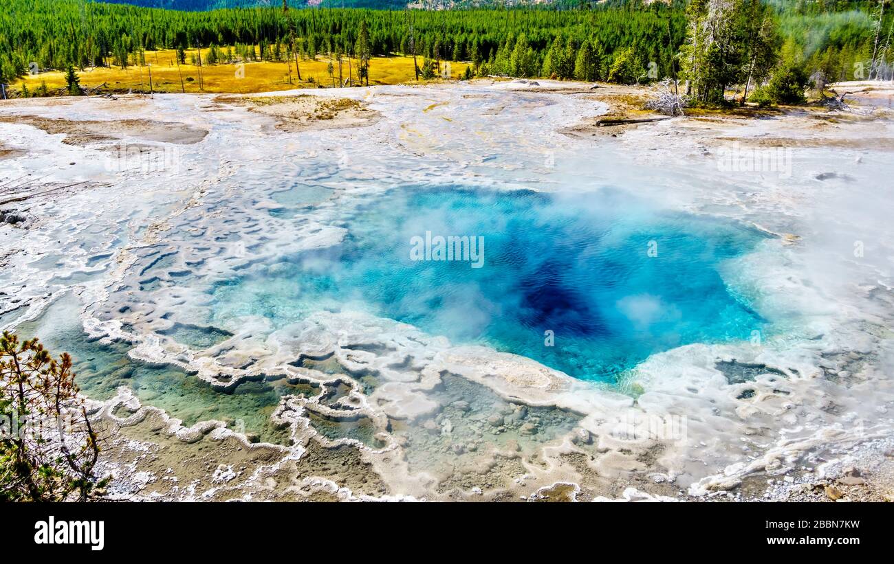Wasserdampf aus yellowstone hot pool -Fotos und -Bildmaterial in hoher ...