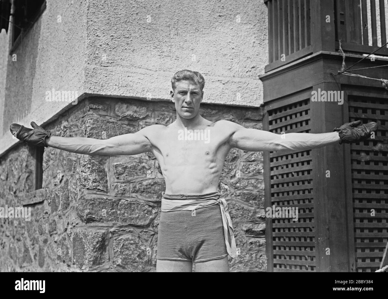 Englischer Boxer Stockfotos und -bilder Kaufen - Alamy