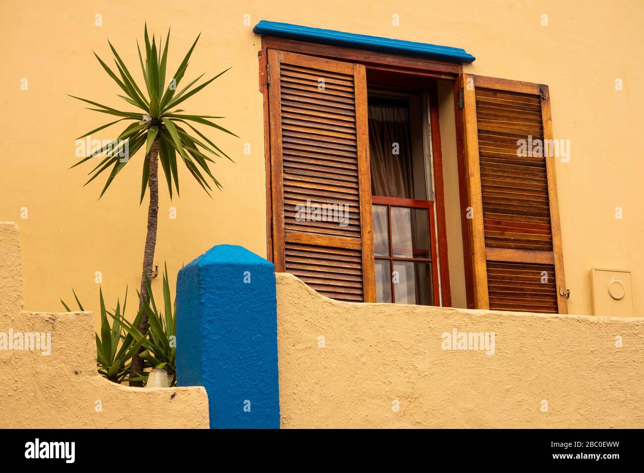 Südafrika, Kapstadt, Schotsche Knoof, Bo Kaap, Wale St, Palme, die auf ...