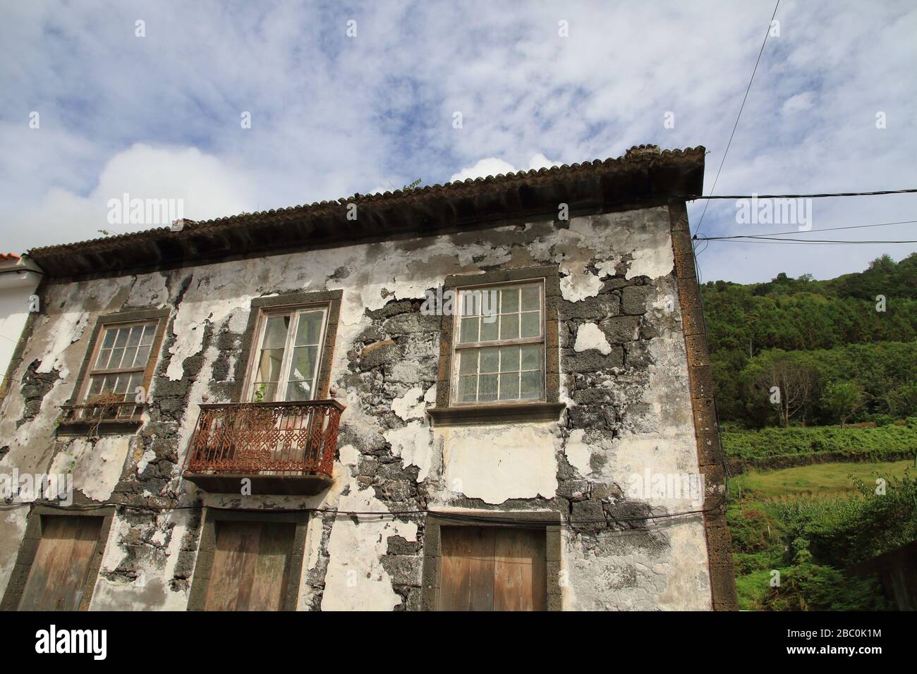 Azoren tiere -Fotos und -Bildmaterial in hoher Auflösung – Alamy