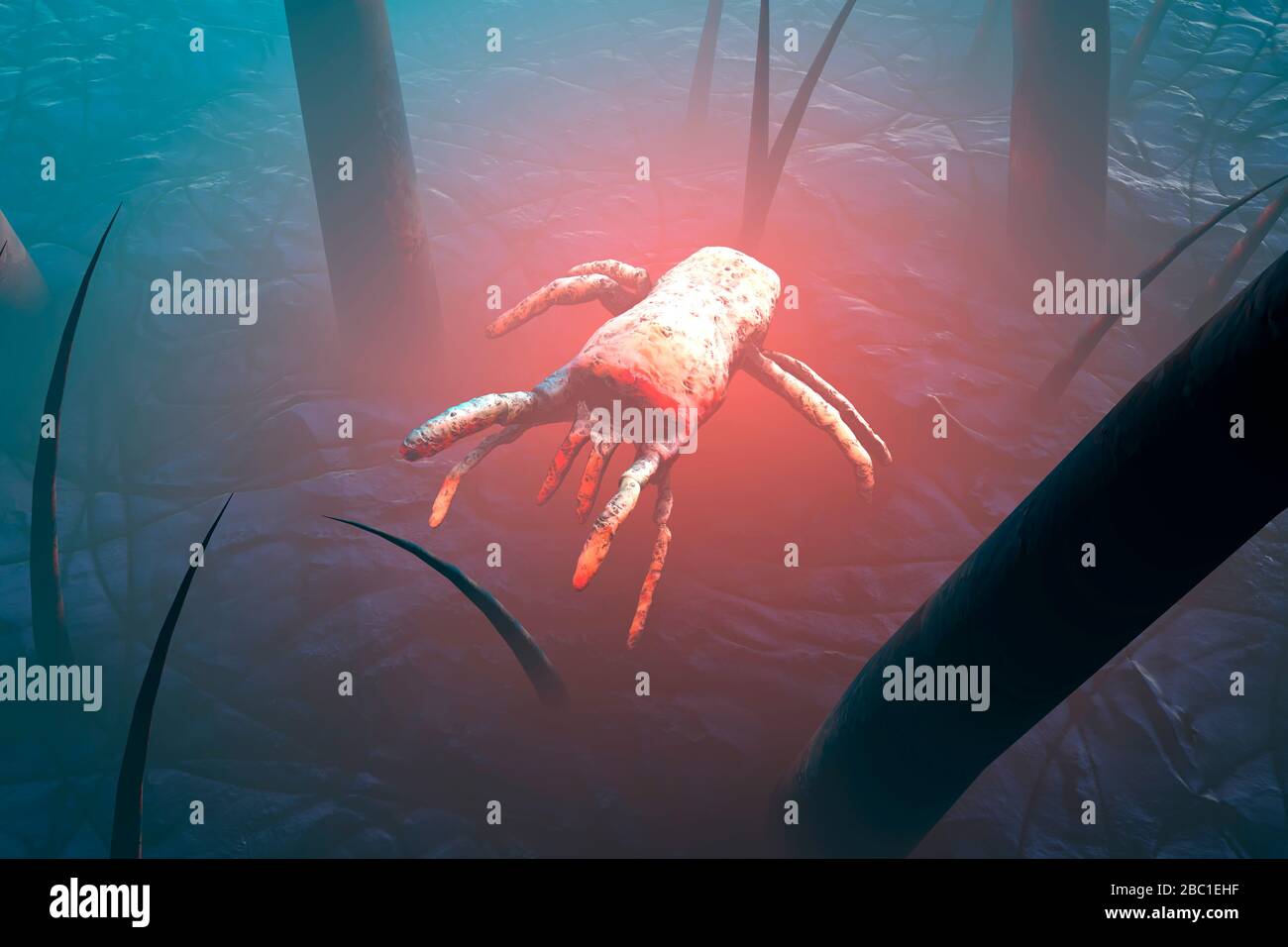 3D-Darstellung, Visualisierung einer Milbe, die zwischen Haaren auf der ...