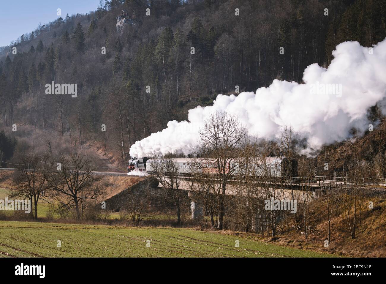 Dampflok, Zug, Oberes Donautal, Baden-Württemberg, Deutschland, Europa ...