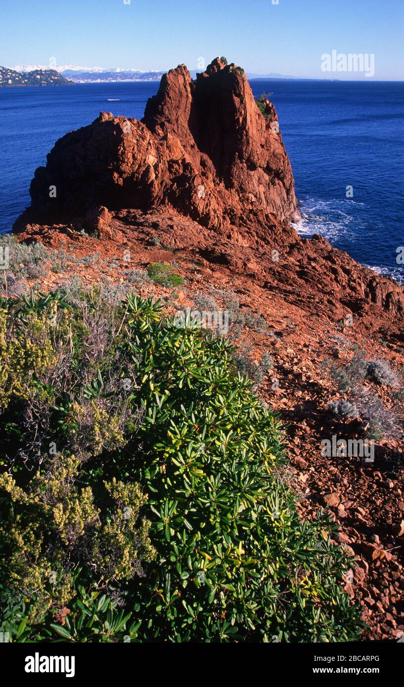 Die roten Felsen des Esterel Golden Cornice Frankreich Provence ...