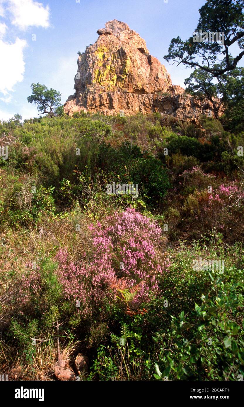 Die roten Felsen des Esterel Golden Cornice Frankreich Provence ...