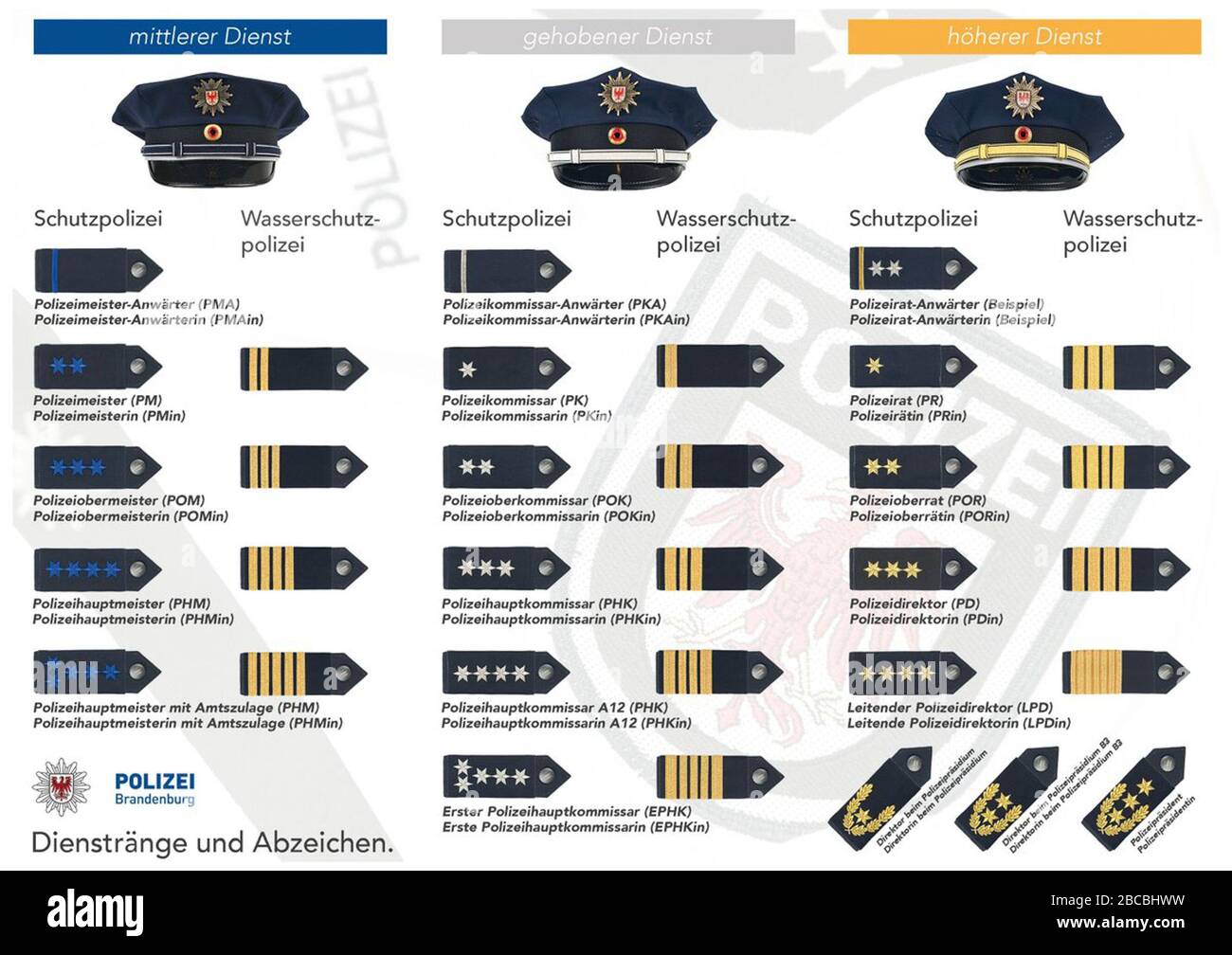 Rank insignia -Fotos und -Bildmaterial in hoher Auflösung – Alamy