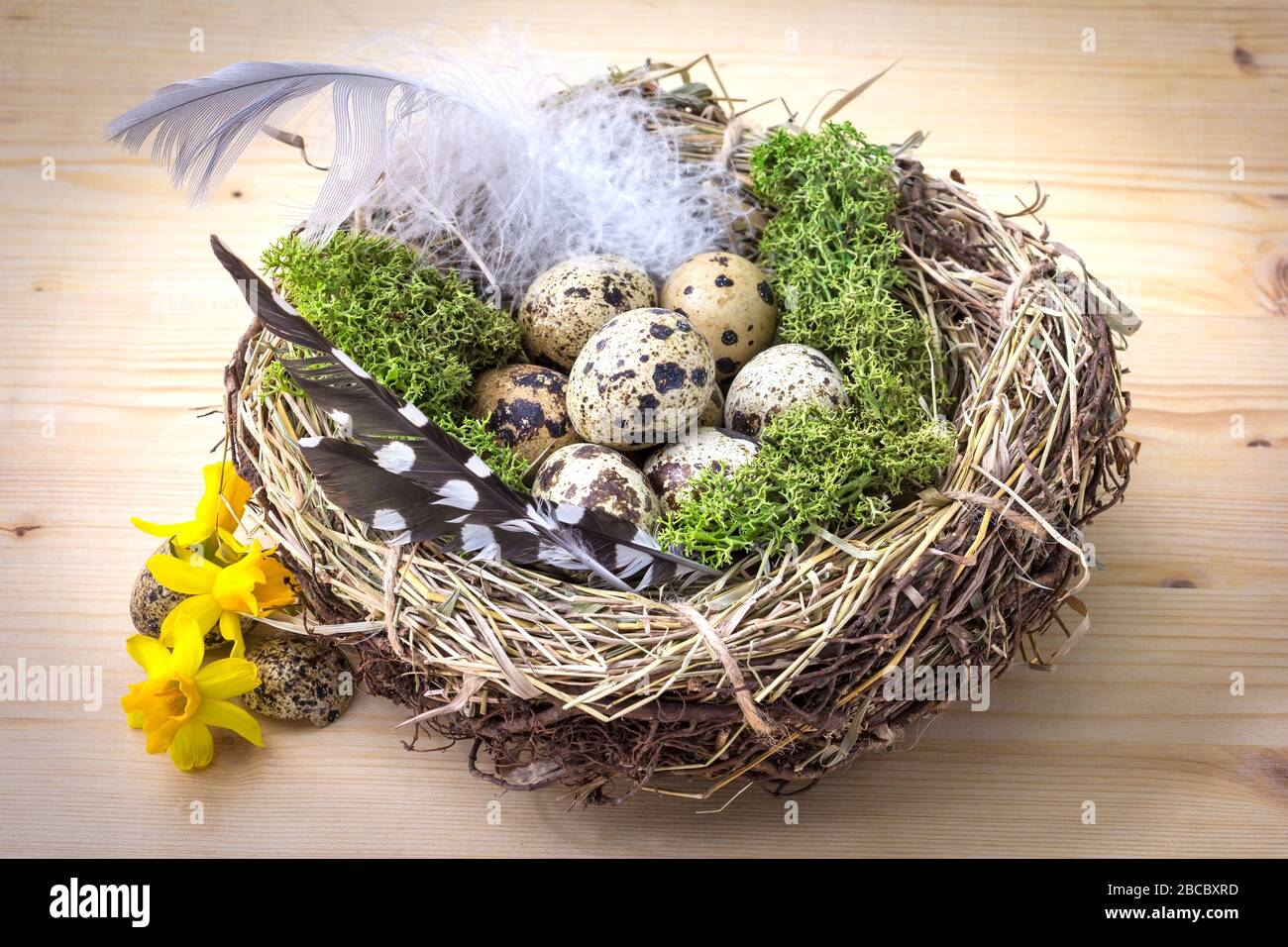 Ein kleines hübsches Osternest steht auf dem Tisch. Dekoriert mit ...