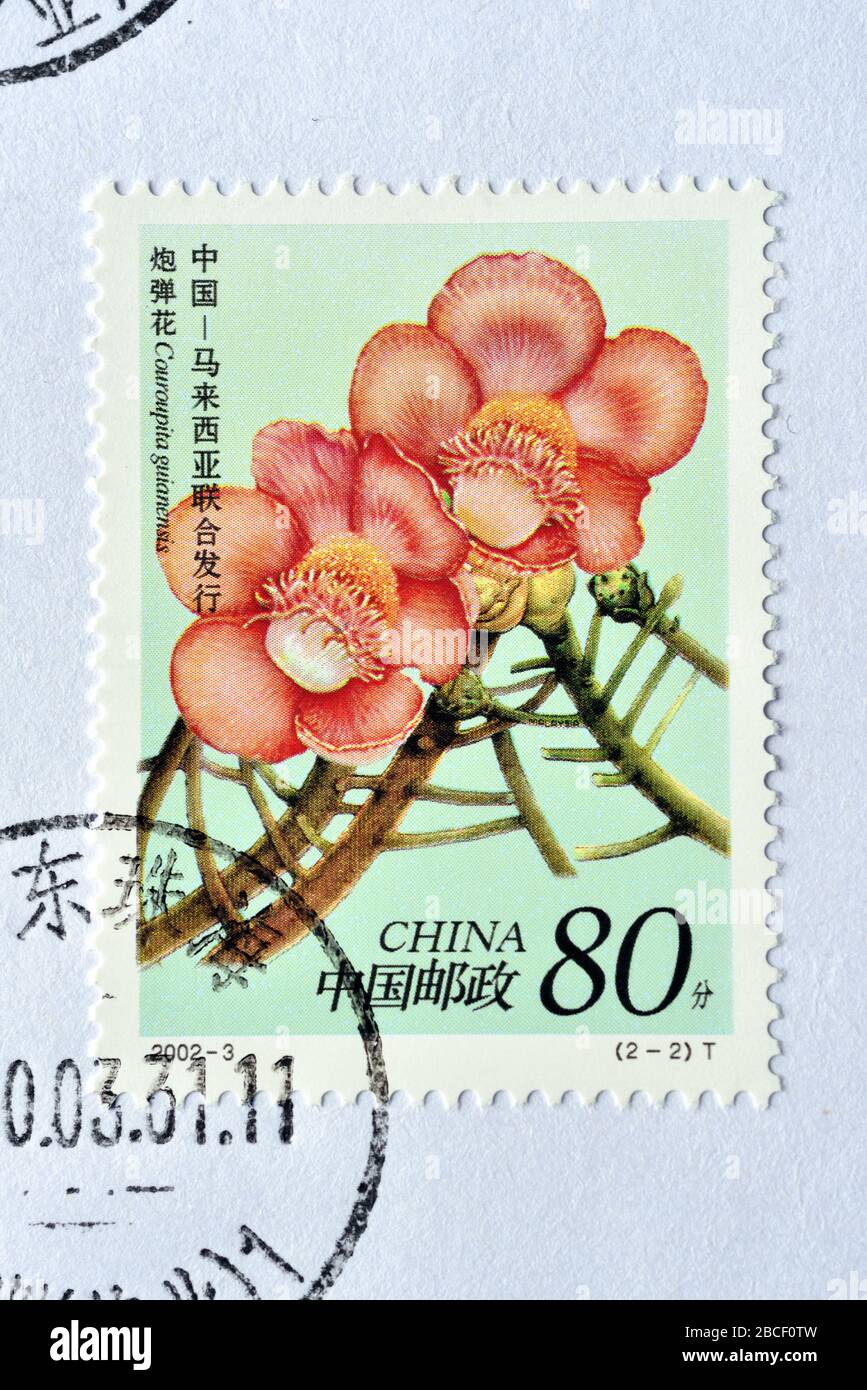 Seltene blumen -Fotos und -Bildmaterial in hoher Auflösung – Alamy