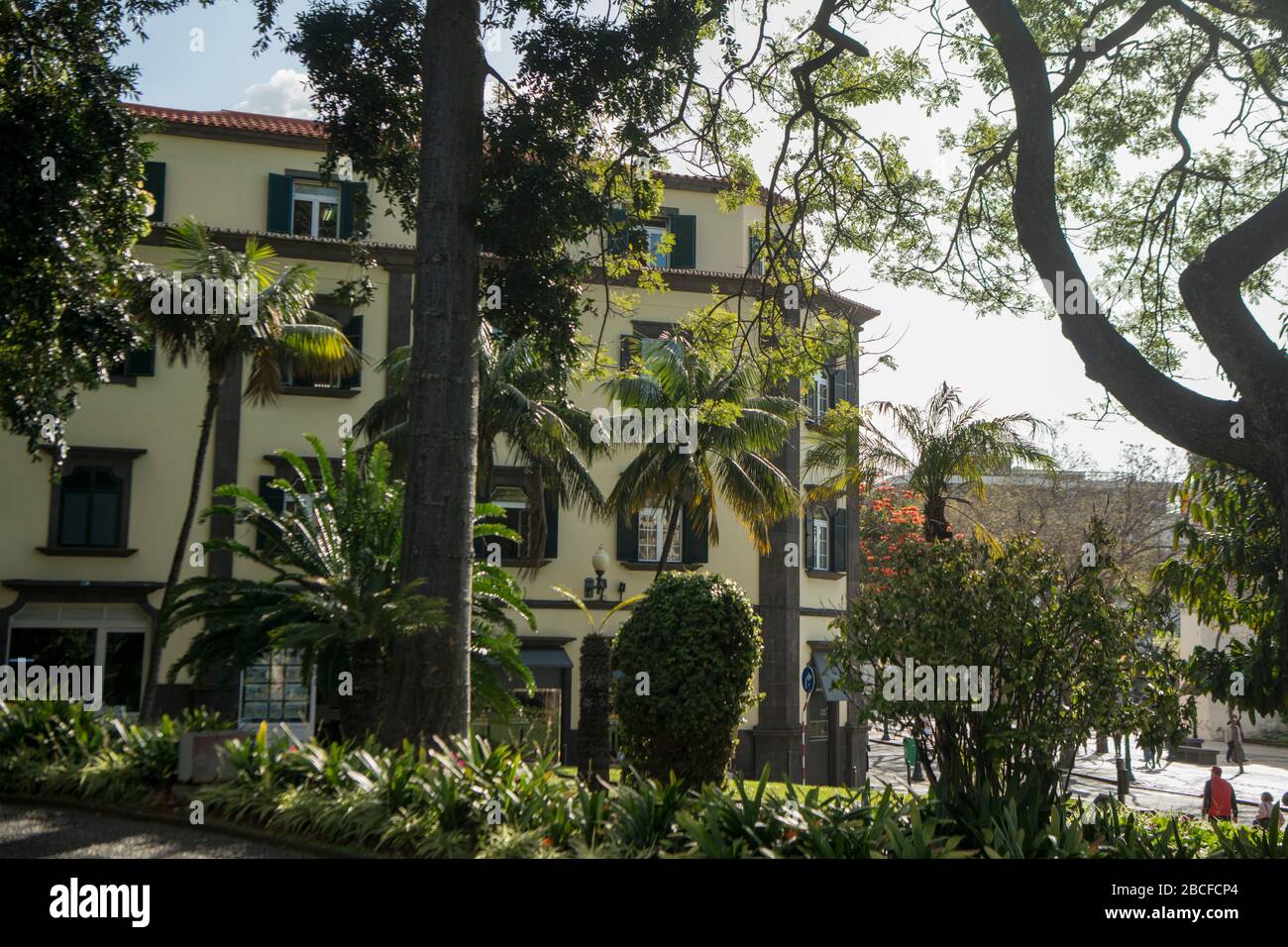 Avenida arriaga funchal -Fotos und -Bildmaterial in hoher Auflösung ...