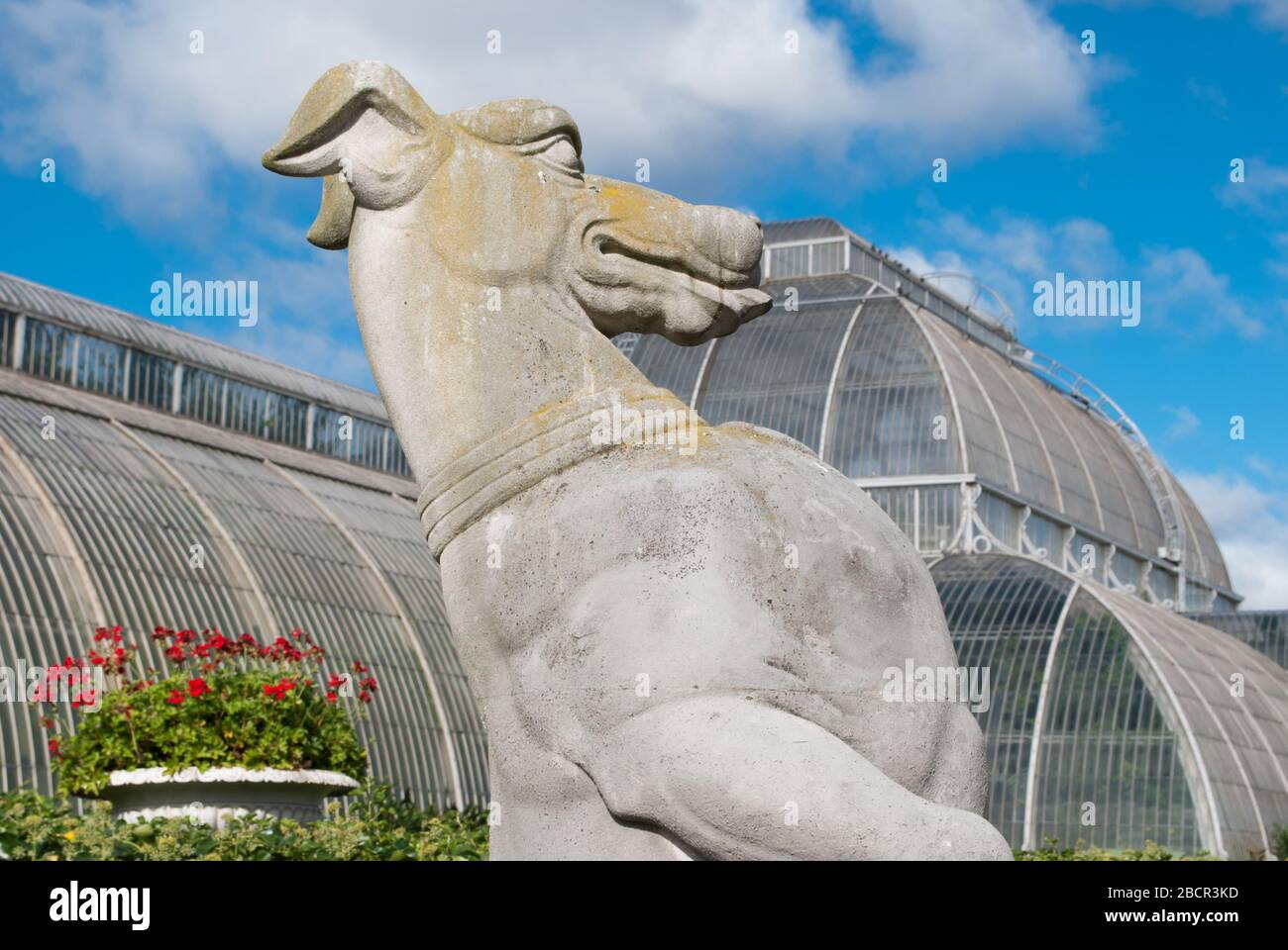 Palm House von Decimus Burton Victorian Glasshouse at Royal Botanic ...