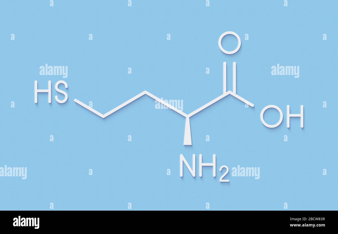Homocystein (Hcy) biomarker Molekül. Erhöhte Werte zeigen erhöhtes ... Homocystein (Hcy) biomarker Molekül. Erhöhte Werte zeigen erhöhtes ...
