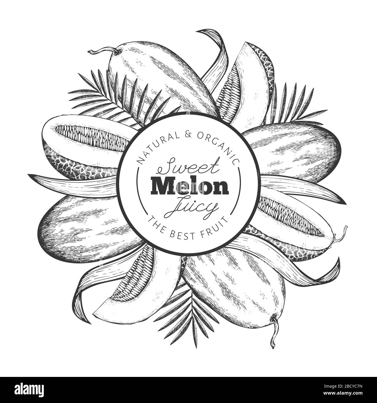 Ganze Melone und ein Stück Melone design Vorlage. Hand gezeichnet ...