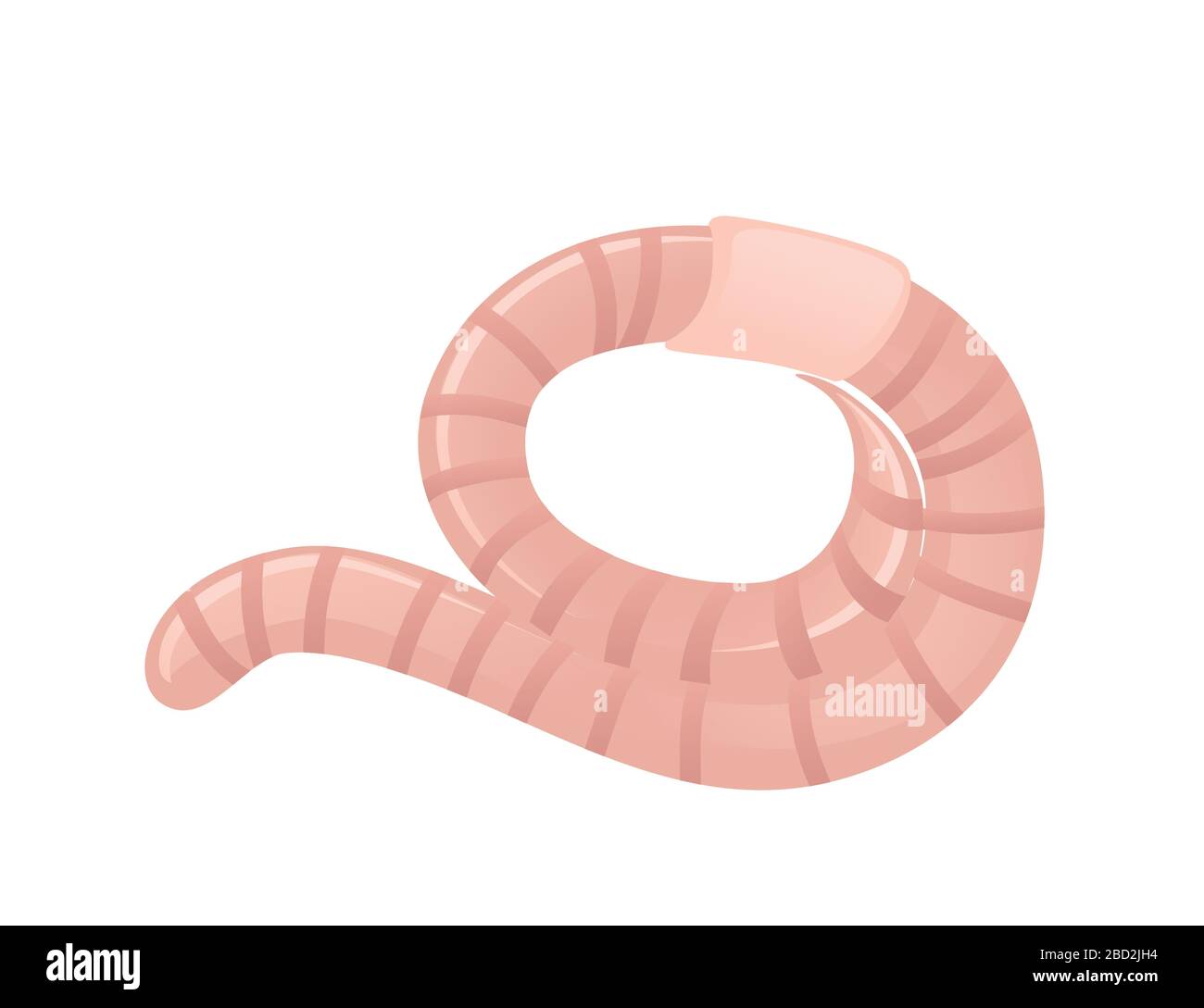 Regenwurm-Crawling Cartoon-Wurm Design flache Vektorgrafiken isoliert ...