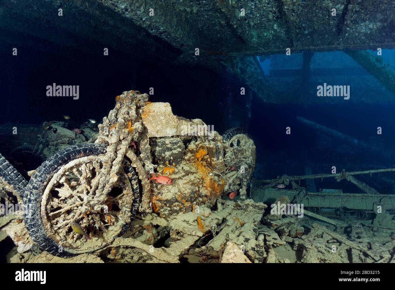 Wir kleinwaffen -Fotos und -Bildmaterial in hoher Auflösung – Alamy