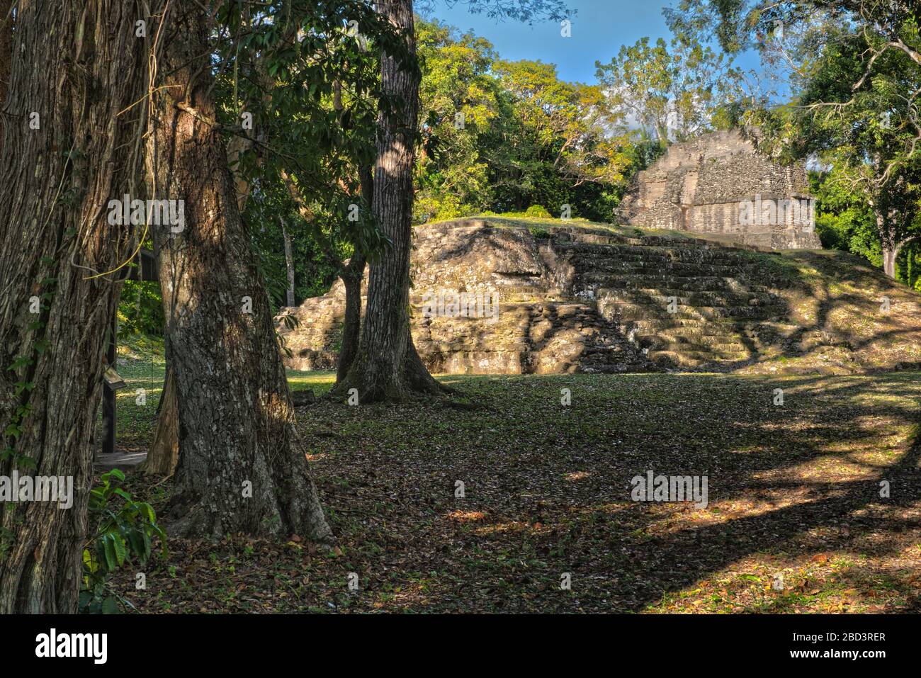 Maya-Pyramiden im Dschungel von Petén in Uxactún, Guatemala ...
