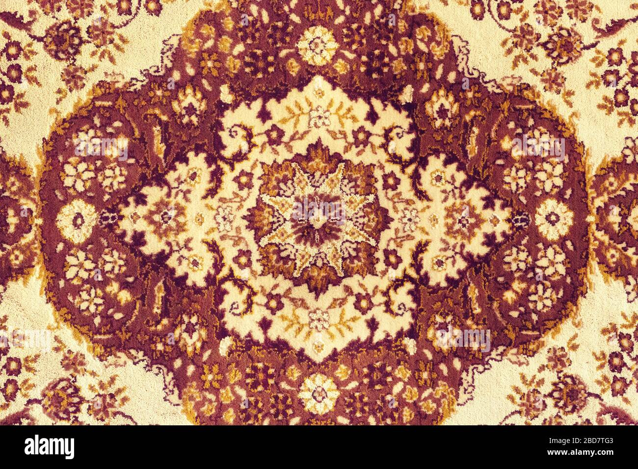 Persian carpet flower -Fotos und -Bildmaterial in hoher Auflösung – Alamy