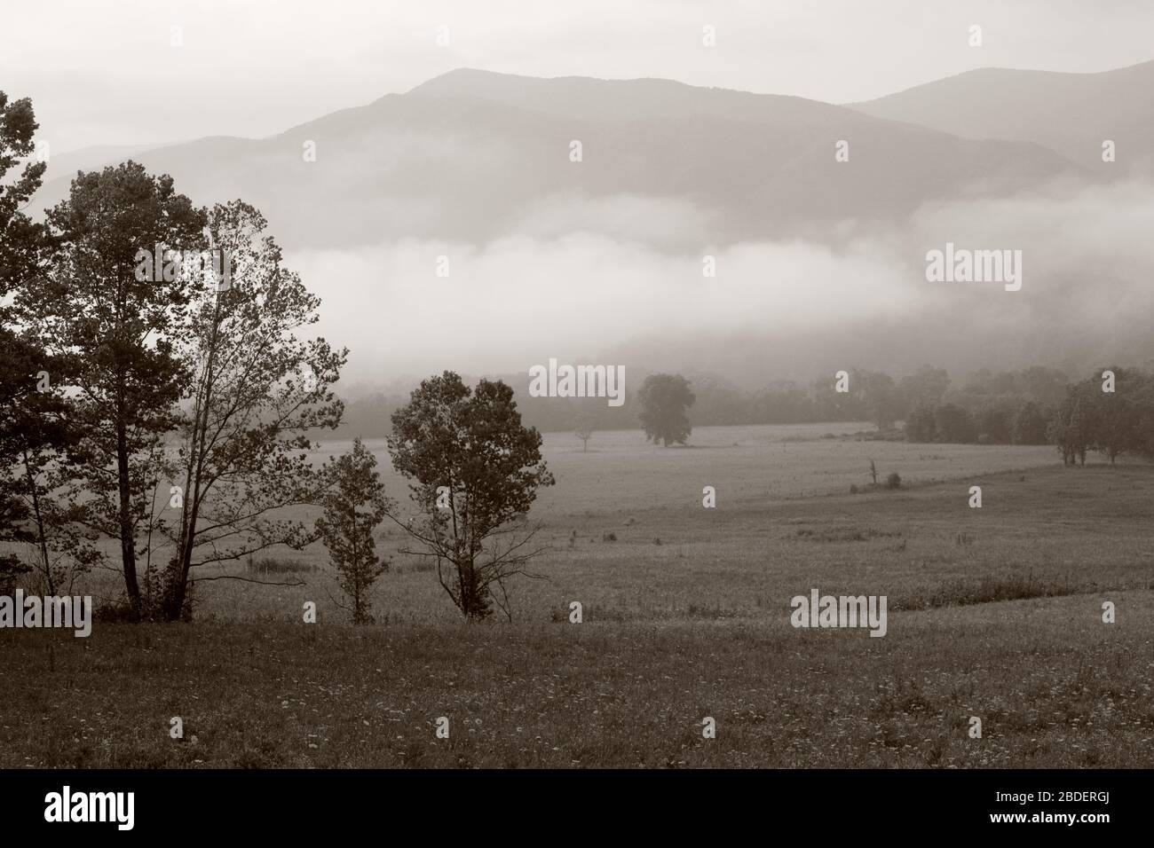 Sepia ton reisen -Fotos und -Bildmaterial in hoher Auflösung – Alamy