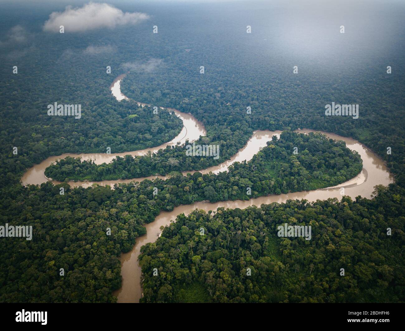 Amazonasregion ecuador -Fotos und -Bildmaterial in hoher Auflösung – Alamy