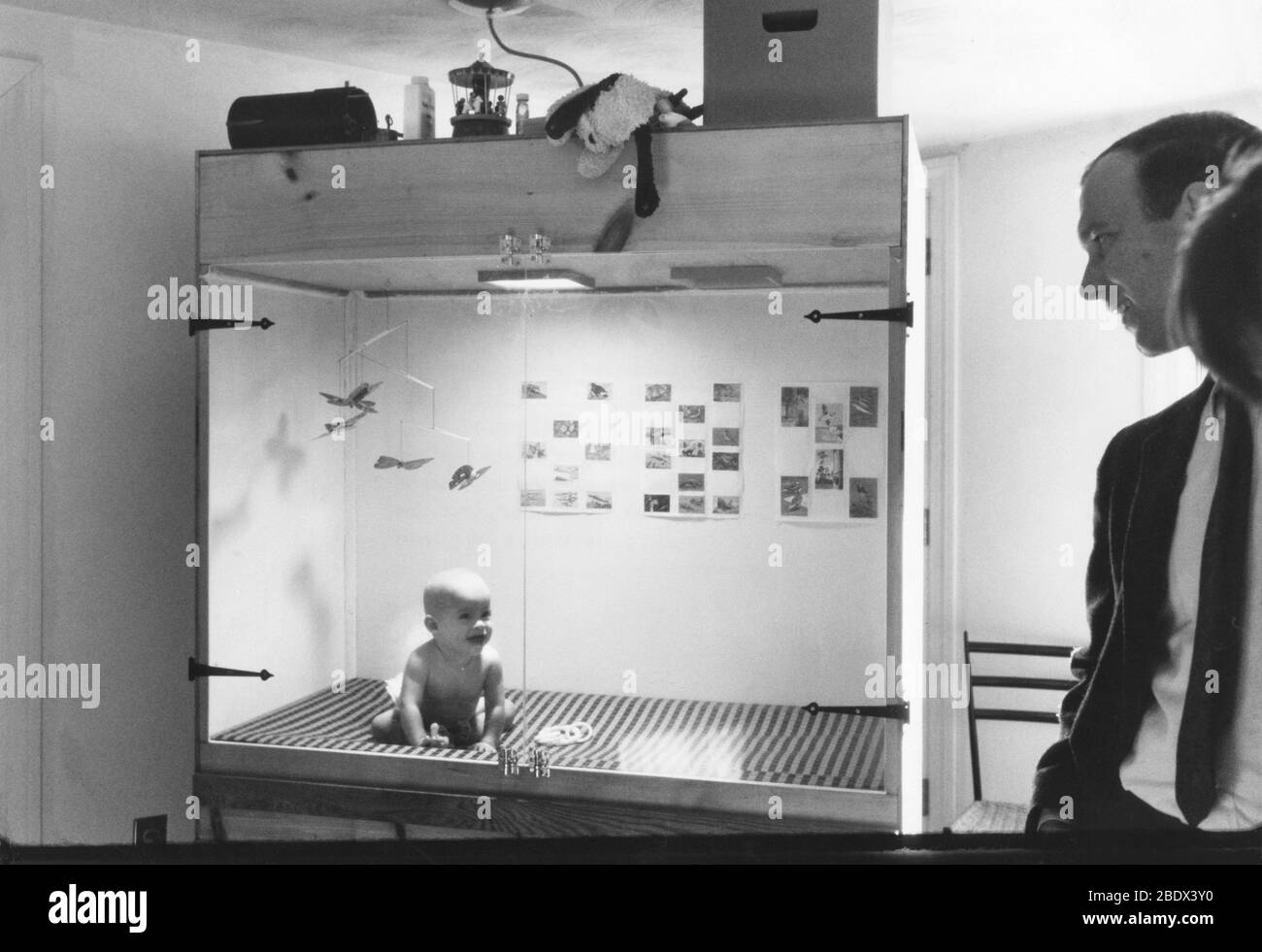 B f skinner -Fotos und -Bildmaterial in hoher Auflösung – Alamy