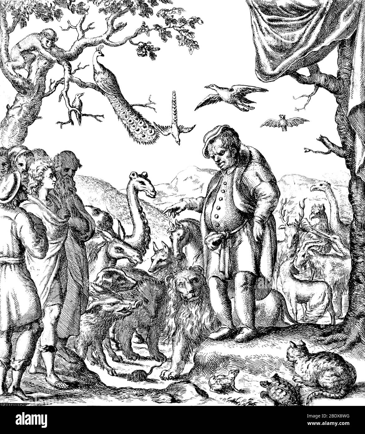 Fabeln aesop Stockfotos und -bilder Kaufen - Alamy