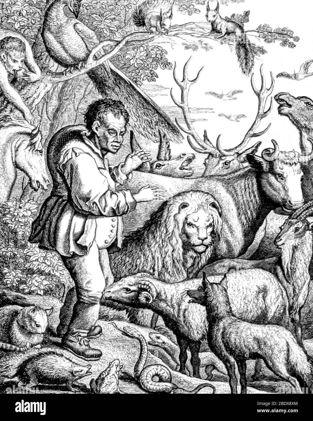 Aesop fables -Fotos und -Bildmaterial in hoher Auflösung – Alamy
