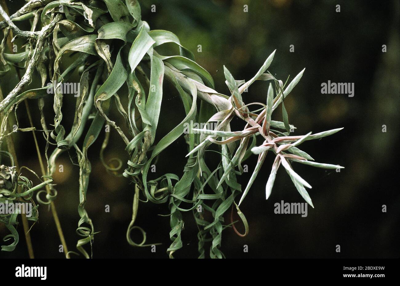 Mit der luft -Fotos und -Bildmaterial in hoher Auflösung – Alamy