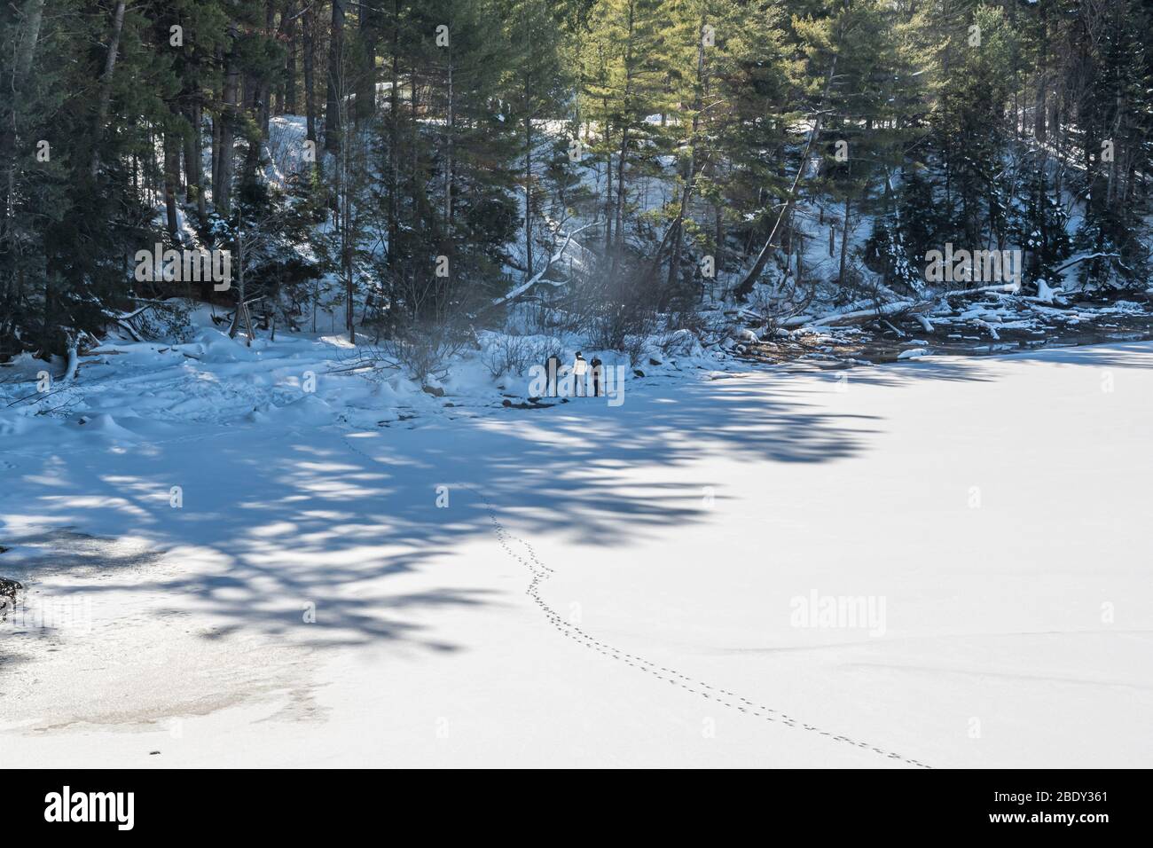 Bruce Peninsula National Park The Grotto & Indian Head Cove Fathon Five ...