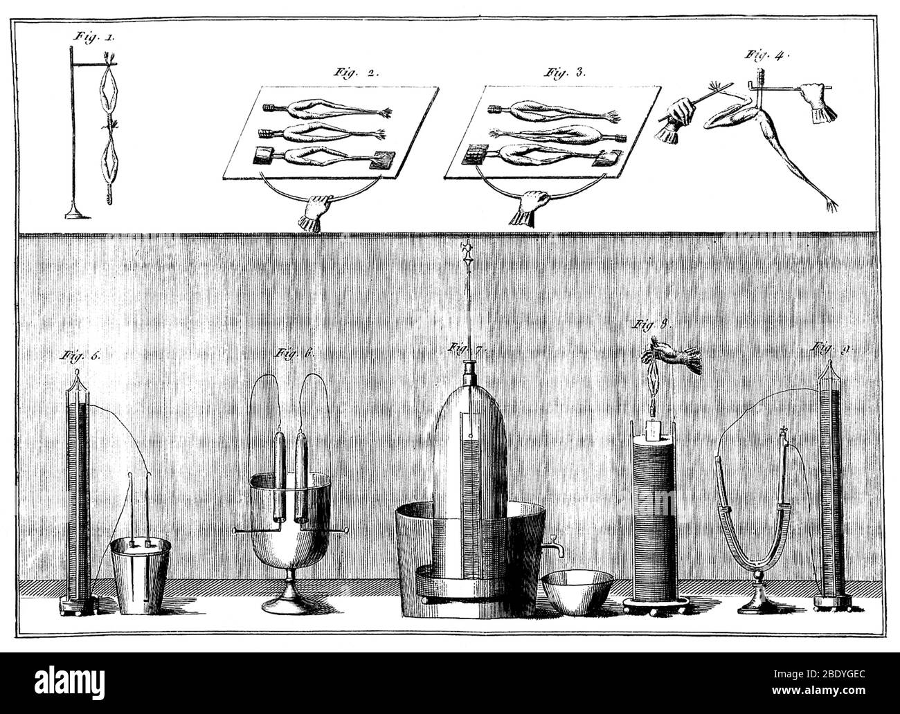 Giovanni aldini -Fotos und -Bildmaterial in hoher Auflösung – Alamy