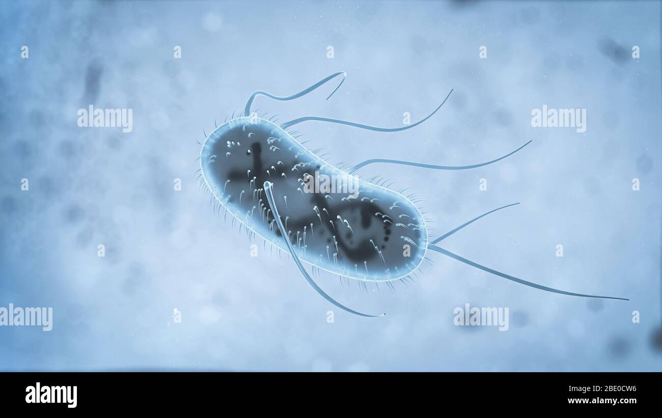 3d Escherichia coli (E. Coli.) Zellen oder Bakterien unter dem ... 3d Escherichia coli (E. Coli.) Zellen oder Bakterien unter dem ...