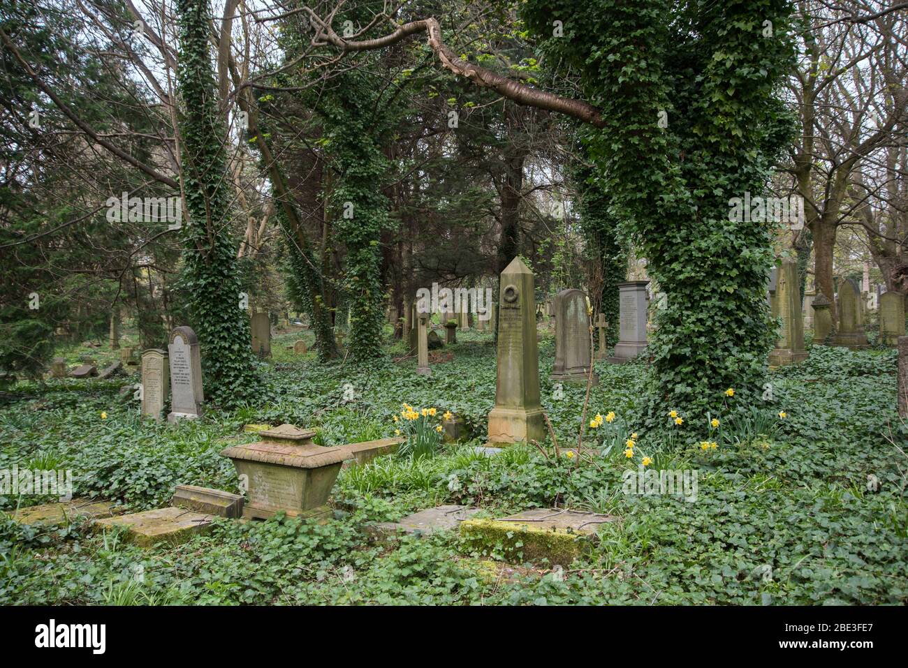 Warriston cemetery -Fotos und -Bildmaterial in hoher Auflösung – Alamy