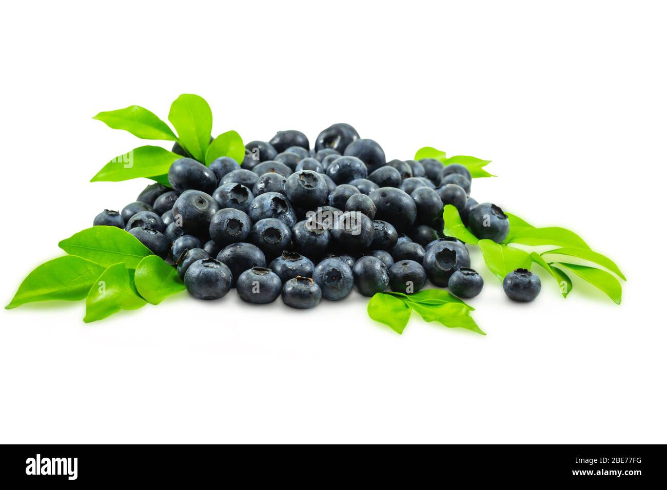 Frische wilde Heidelbeeren Haufen auf weißem Hintergrund isoliert mit ...