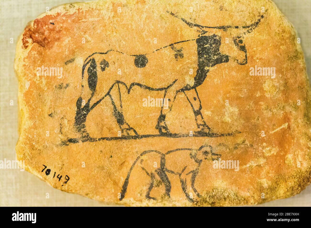 Baboon egypt tomb -Fotos und -Bildmaterial in hoher Auflösung – Alamy