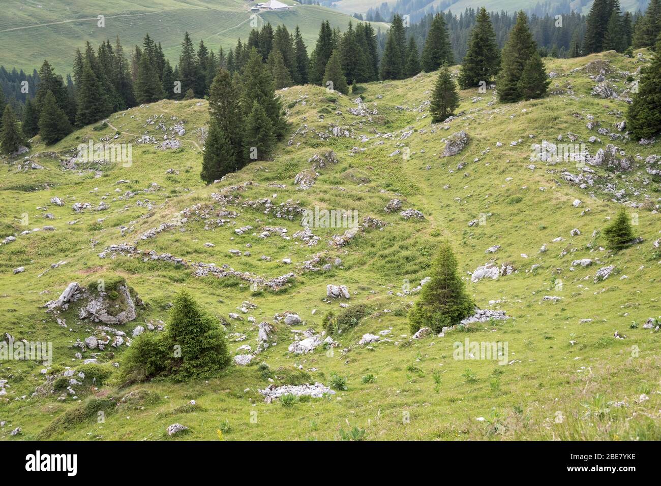 Naturpark Gantrisch im Kanton Bern, Berner Oberland, Berner Alpen ...