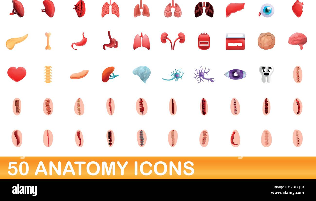 50 anatomische Symbole festgelegt. Cartoon Illustration von 50 Anatomie-Icons Vektor-Set ...