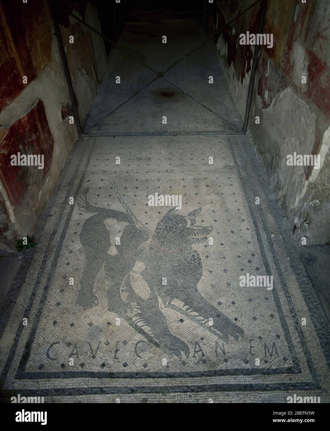 Cave canem -Fotos und -Bildmaterial in hoher Auflösung – Alamy