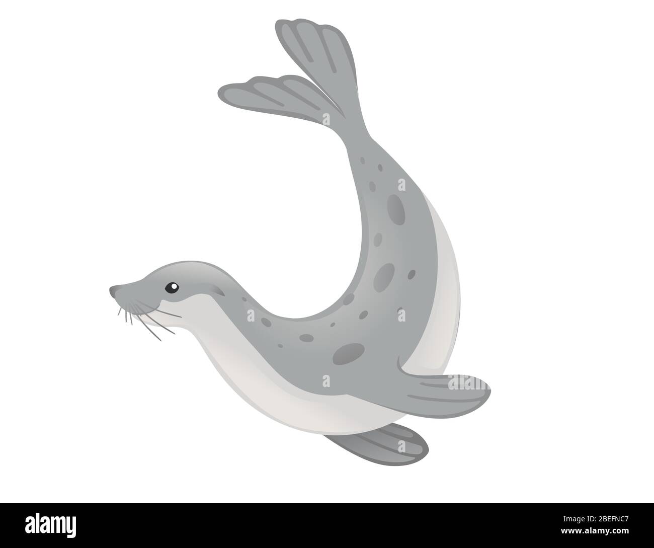 Niedliche Robbe Cartoon Tierdesign flache Vektorgrafiken isoliert auf ...