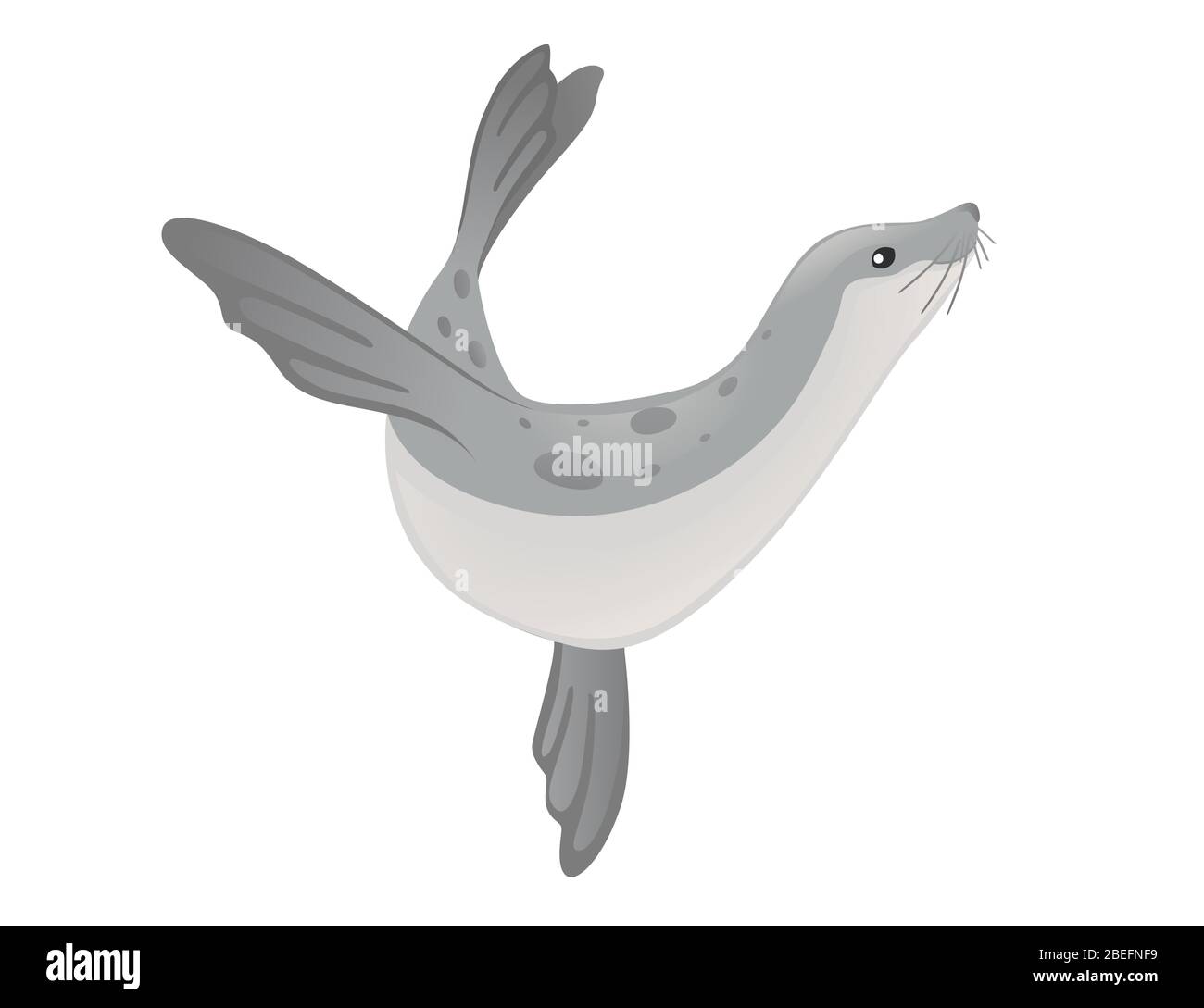 Cartoon cute seal vector wildlife -Fotos und -Bildmaterial in hoher ...