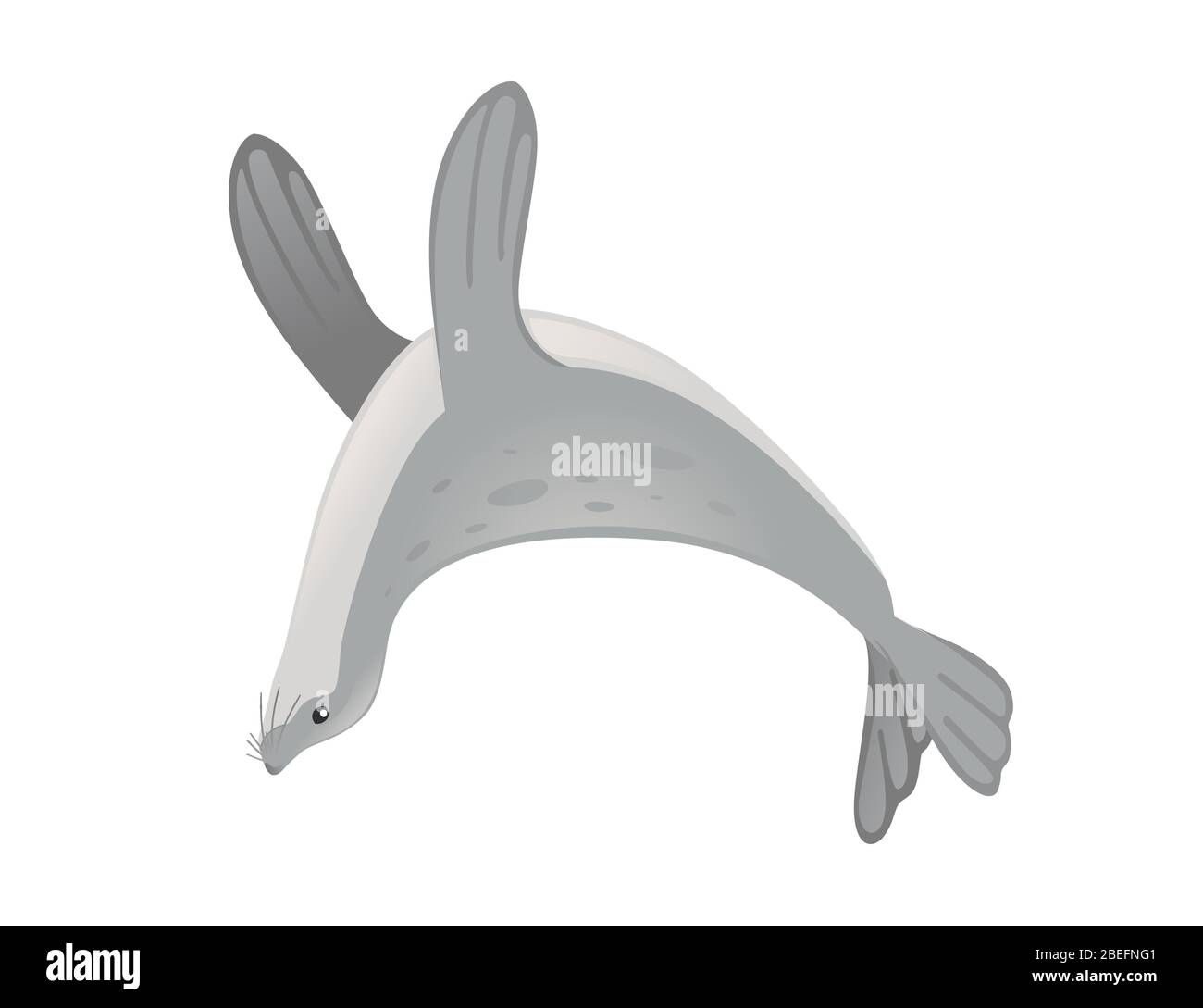 Cartoon cute seal vector wildlife -Fotos und -Bildmaterial in hoher ...