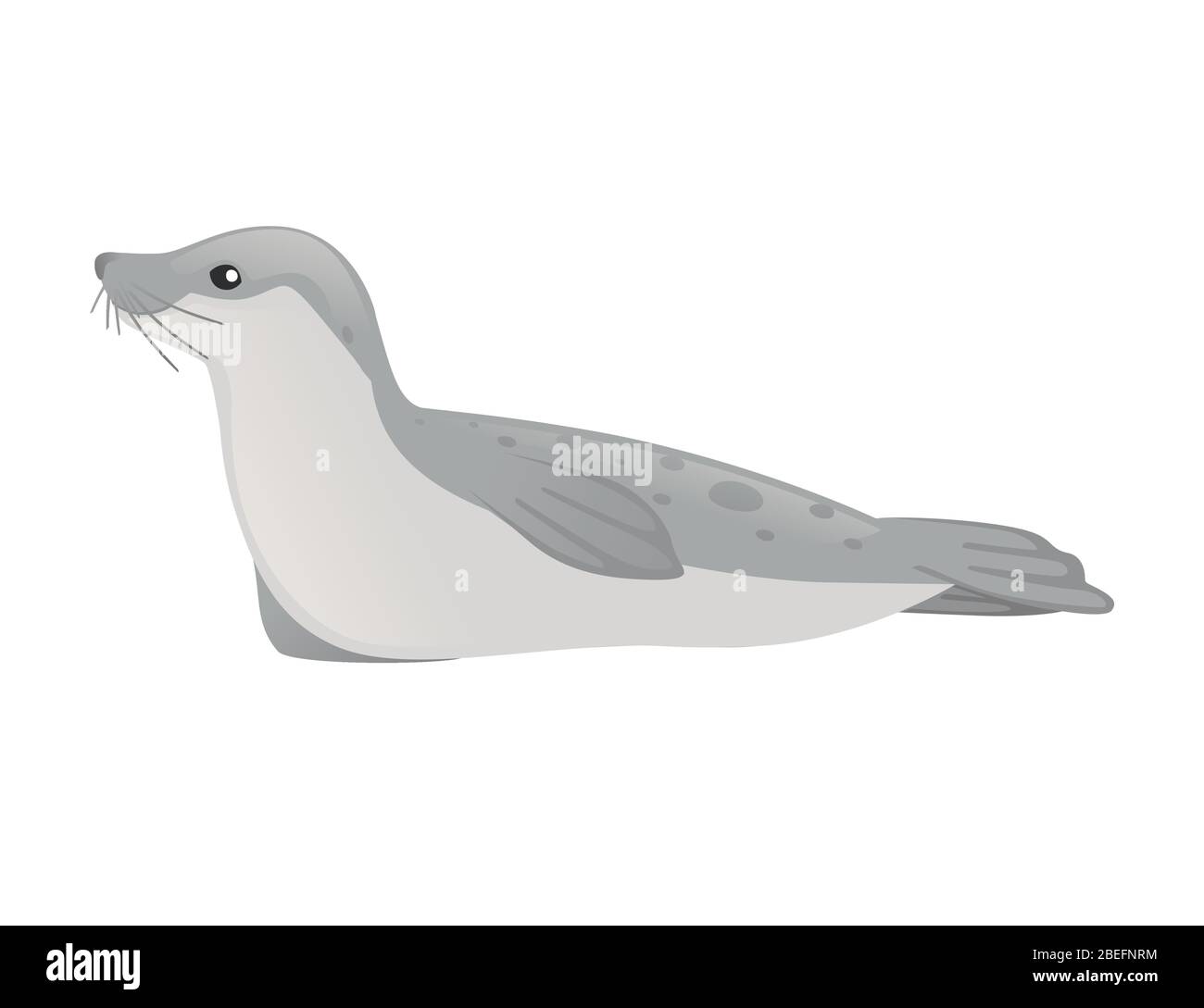 Cartoon cute seal vector wildlife Stock-Vektorgrafiken kaufen - Seite 2 ...