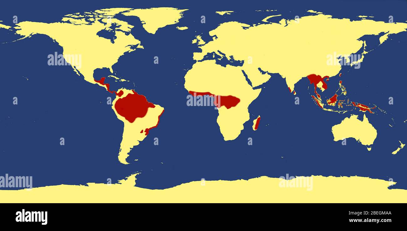 Weltkarte Tropische Regenwaldgebiete Stockfotos und -bilder Kaufen - Alamy
