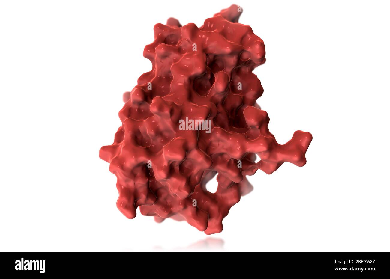 Ifn alpha -Fotos und -Bildmaterial in hoher Auflösung – Alamy